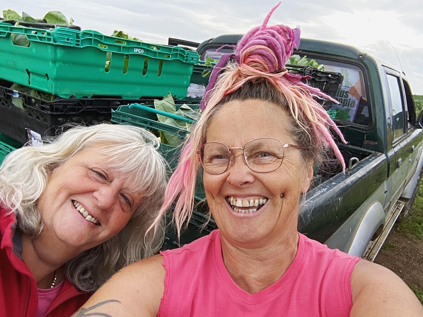 Gleaning Cornwall - Volunteer with us