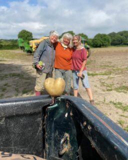 Gleaning Cornwall - Volunteer with us