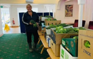Gleaning Cornwall - No good food should go to waste!